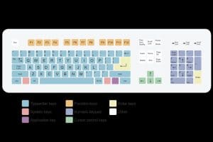 Keyboard Layouts (QWERTY, Dvorak, Colemak) - Keyboards Expert